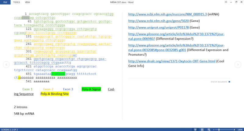 Read Mode Word 2013 IT Services